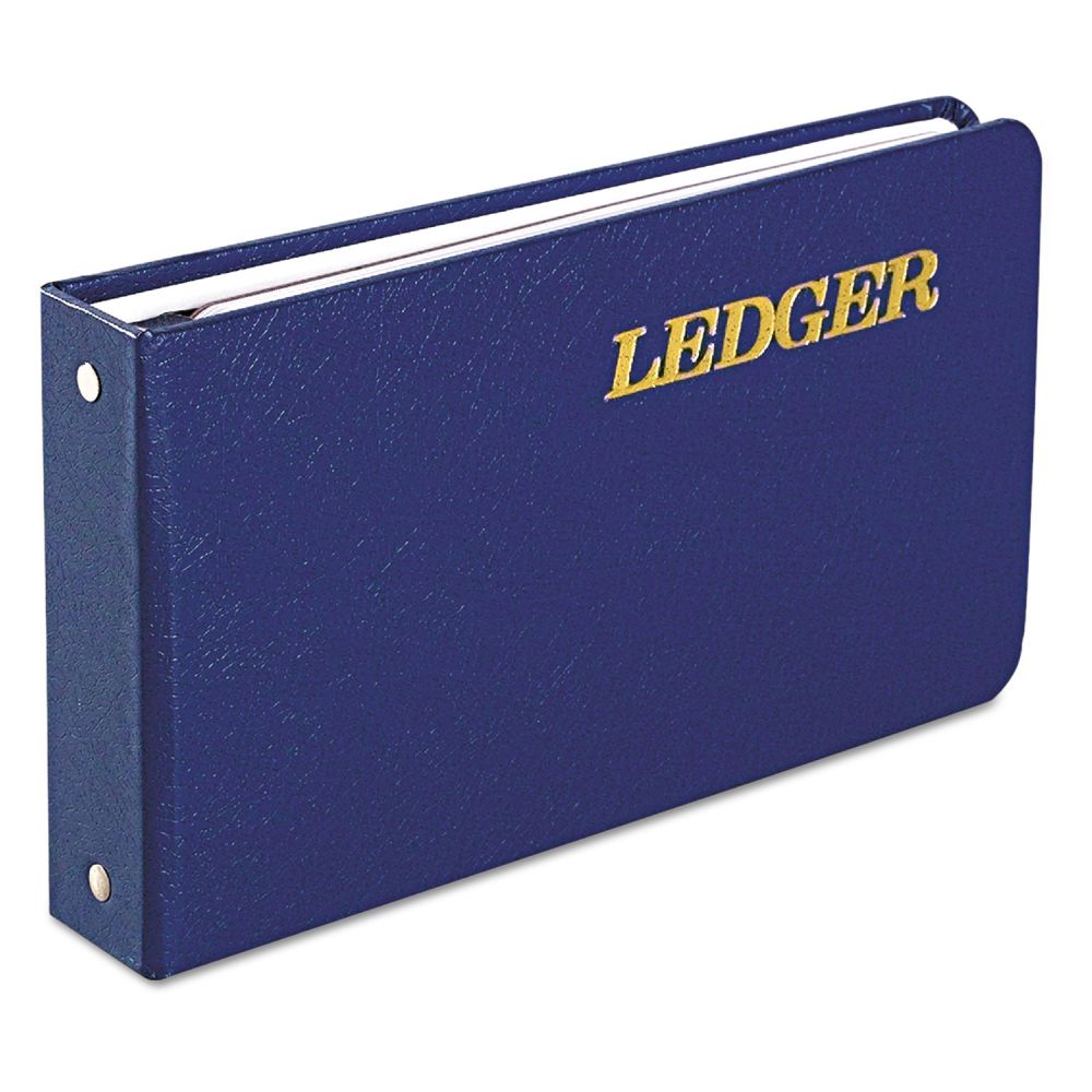 Wilson Jones Extra Sheets for Six-Ring Ledger Binder, White, 100/Pack ...