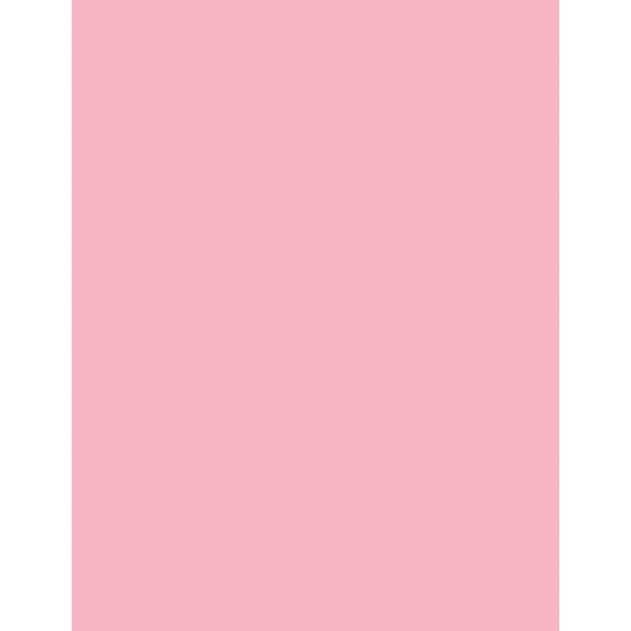 Sparco Color Multi-Use Printer & Copy Paper, Pink, Letter (8.5" x 11 ...