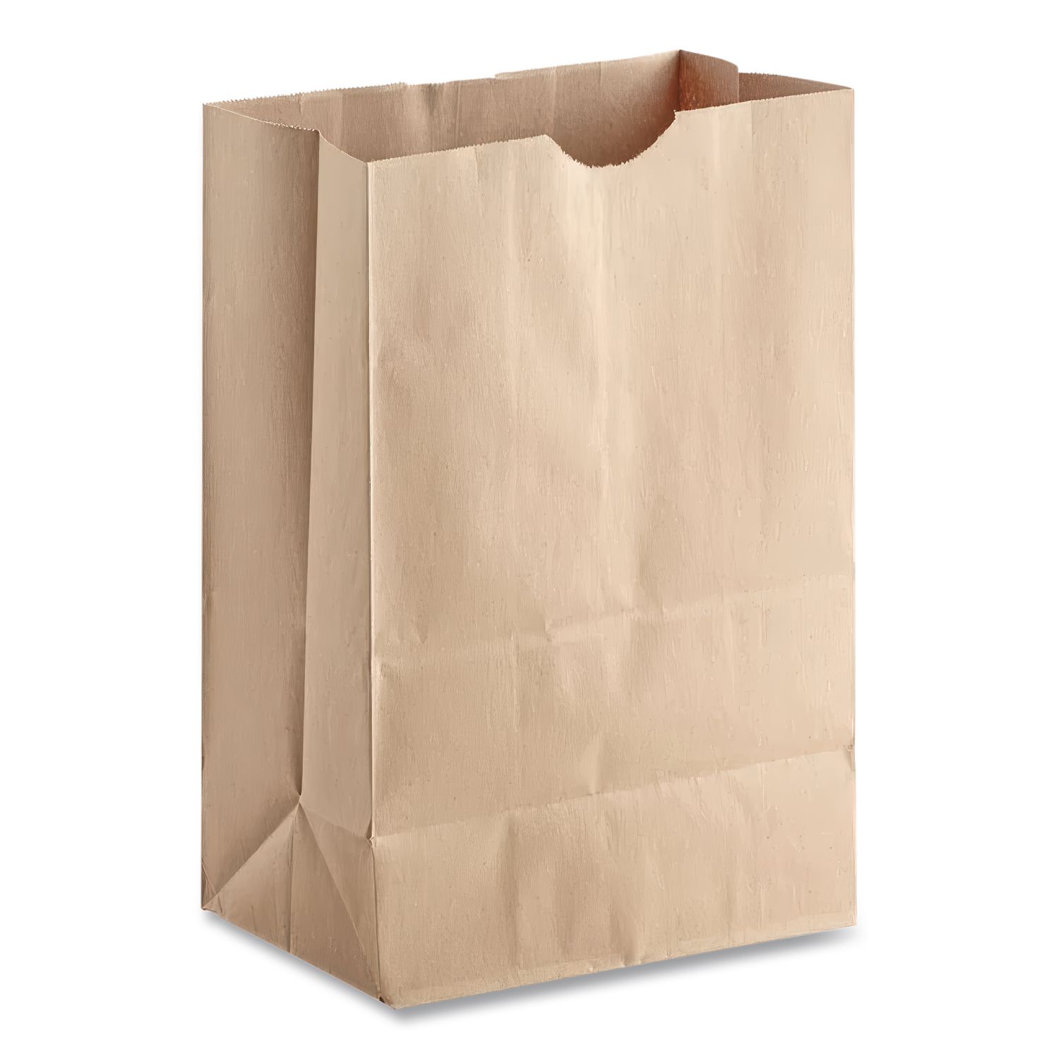 Ross & Wallace Paper Products Grocery Paper Bags, 1/6 BBL Size, Heavy ...