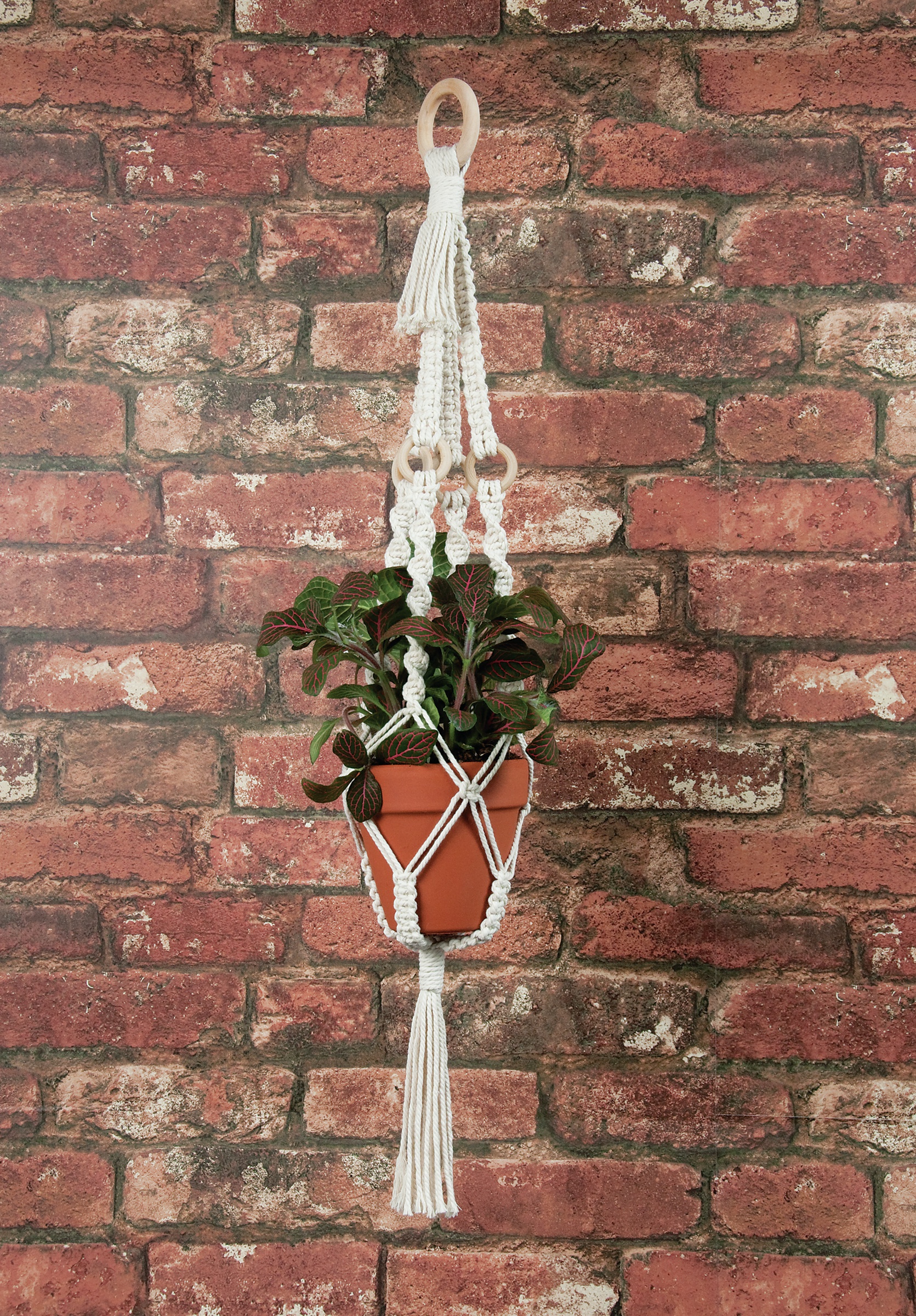 Macrame Plant Hanger Kit - NOTM621888 | OfficeSupply.com