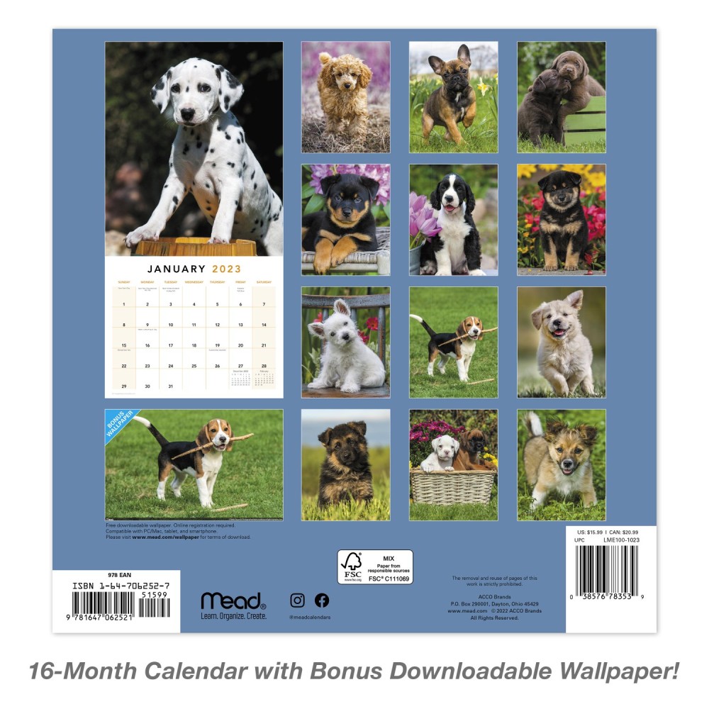 Monthly Wall Calendar, Puppies, January To December 2023, ODE10010 ...