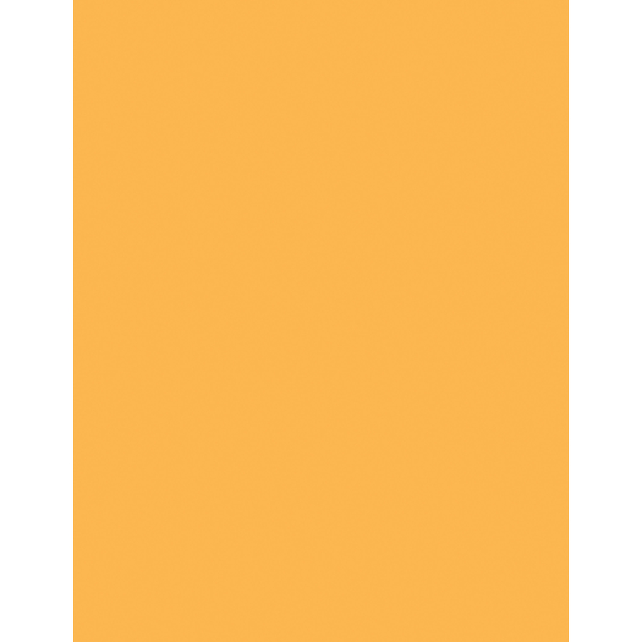 Sparco Color Multi-Use Printer & Copy Paper, Goldenrod, Letter (8.5" x ...