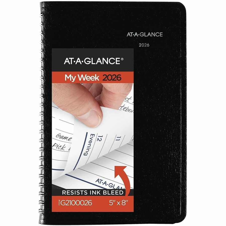 AT-A-GLANCE DayMinder Block Format Weekly Appointment Book, Tabbed ...