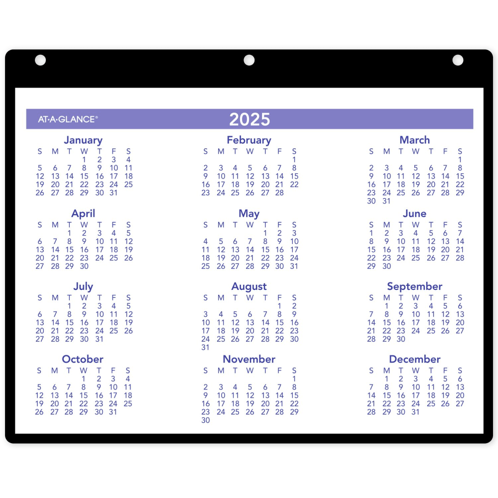 2025 AT-A-GLANCE Monthly Wall Calendar With Jacket, 11" x 8 ...