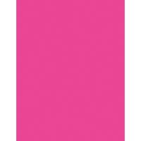 Shop for Copy & Multi-use Colored Paper, Copy, Printer & Multi-use ...