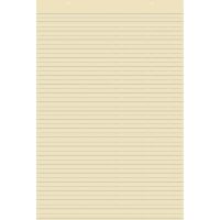 Shop for Chart Tablets, Classroom Supplies | OfficeSupply.com