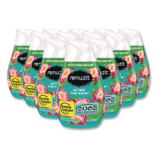 Renuzit Adjustables Air Freshener, After the Rain Scent, 7 oz Solid, 12 ...