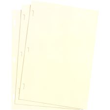 Wilson Jones Ivory Ledger Paper, 8 1/2" x 14", Plain, 100 Sheets/Box ...
