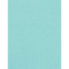 Bazzill Mono Cardstock 8.5"X11" - NOTM331725 | OfficeSupply.com