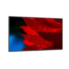 NEC Display 49" Wide Color Gamut Ultra High Definition Professional ...