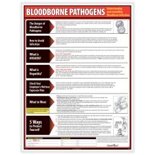 ComplyRight Bloodborne Pathogens Poster | OfficeSupply.com