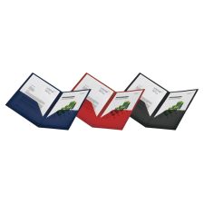 2-Pocket Transparent Poly Folder, Letter Size, Assorted Colors (No ...
