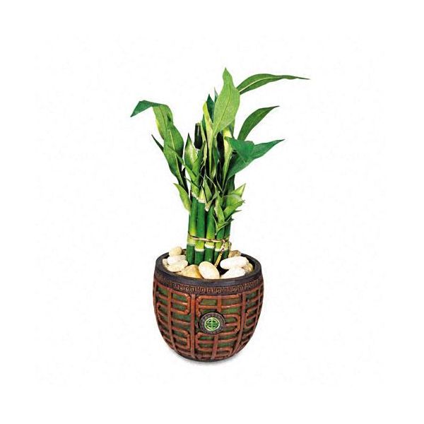 Nu-Dell Artificial Lucky Bamboo Plant in a Brown/Jade Fiberglass Pot ...