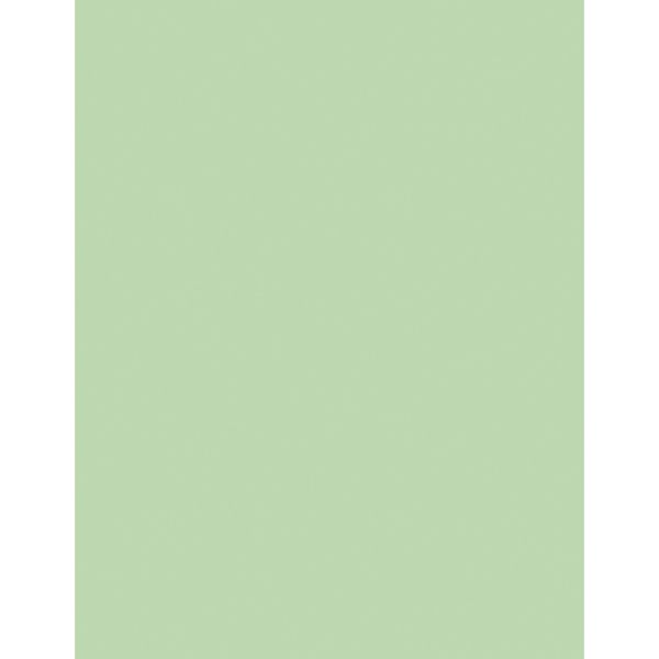 Sparco Color Multi-Use Printer & Copy Paper, Green, Letter (8.5" x 11 ...