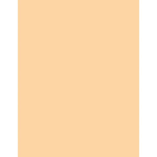 Sparco Color Multi-Use Printer & Copy Paper, Ivory, Letter (8.5" x 11 ...