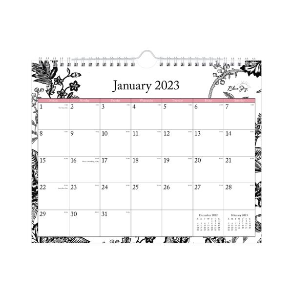 Blue Sky Monthly Wall Calendar, 8-3/4" x 11", Analeis, January To ...
