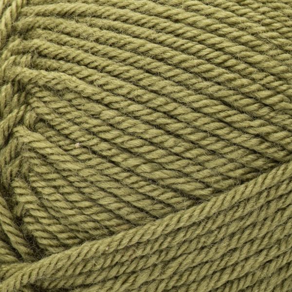 Patons Canadiana Yarn - Solids - NOTM680077 | OfficeSupply.com