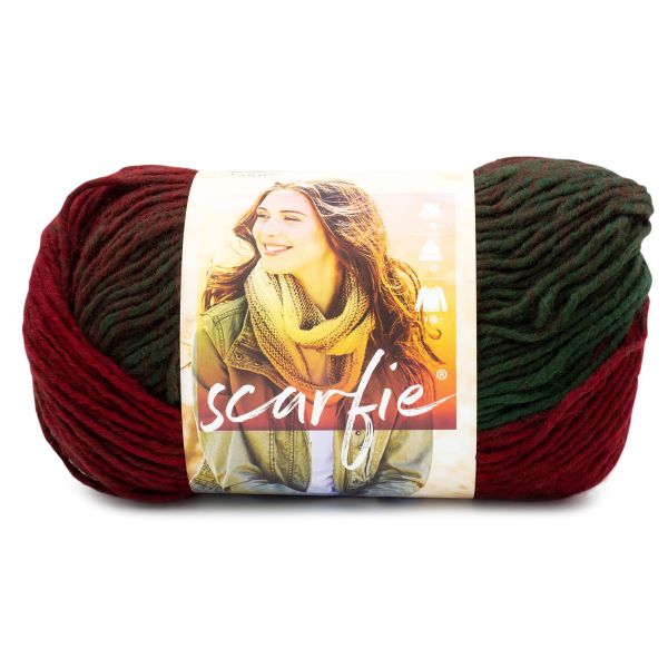 Lion brand scarfie yarn store